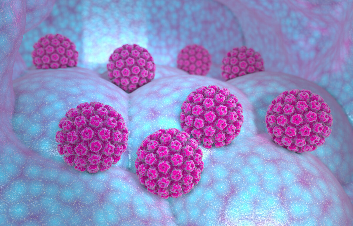 virus del papiloma humano cáncer cuello útero cáncer cérvix